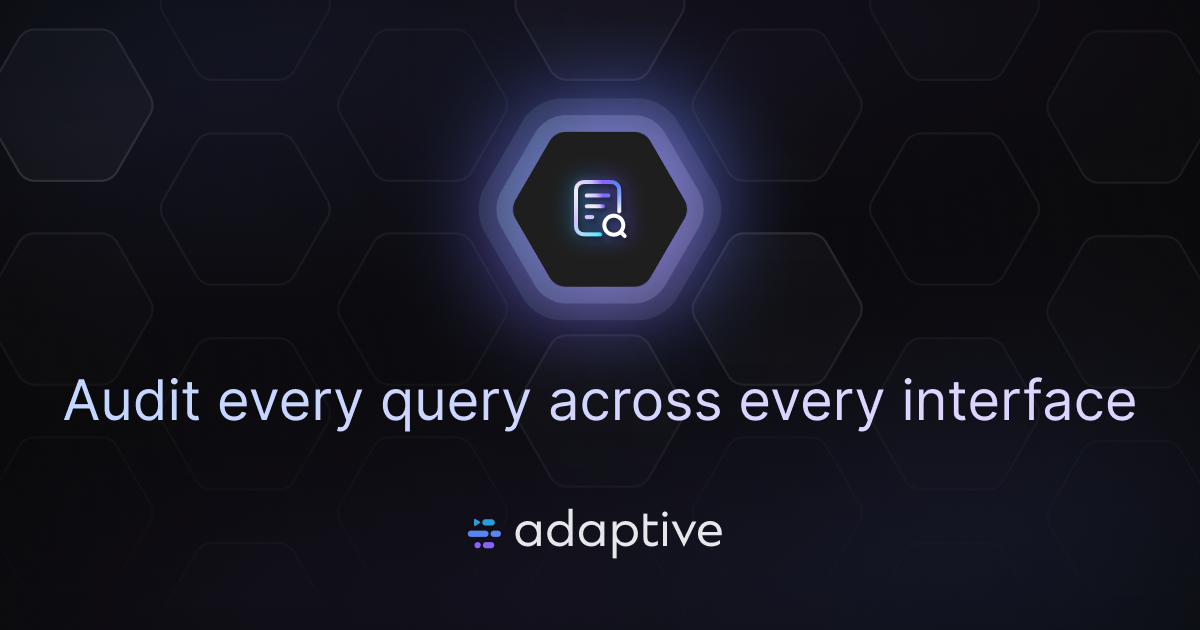 Audit every query across every interface